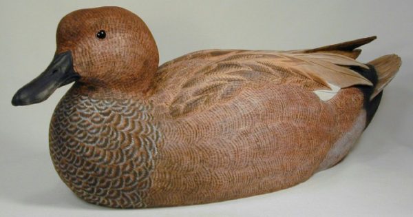 Gadwall Drake – Birdhug Studio