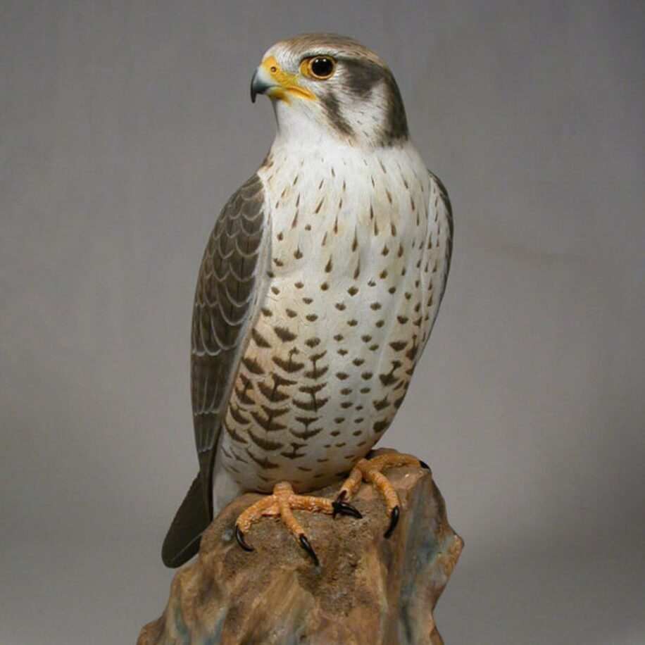 15 inch Prairie Falcon Hand Carved Wooden Bird Carving – Birdhug Studio